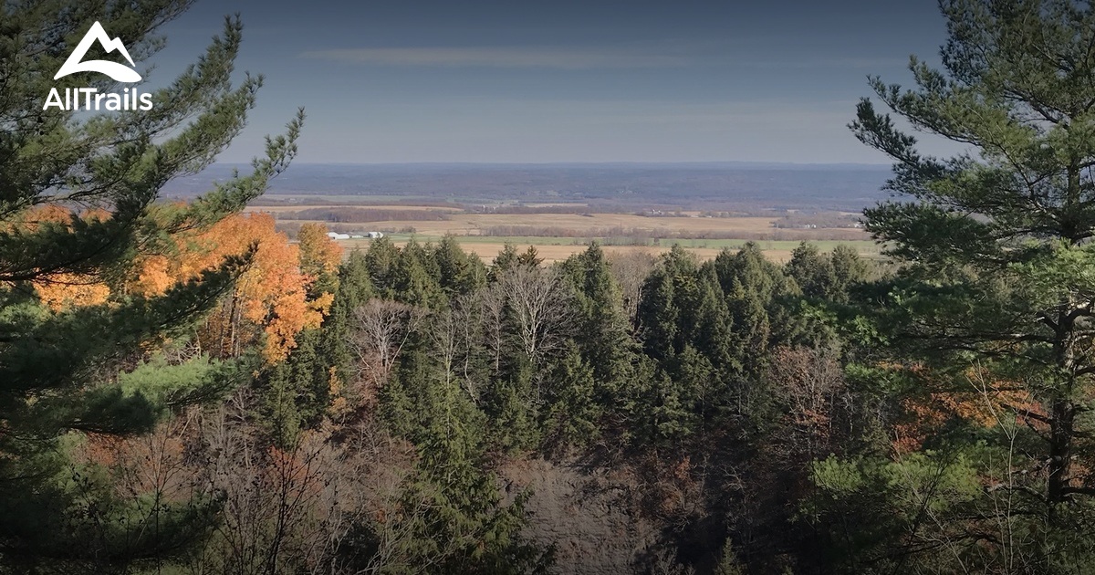 Best Trails in Whetstone Gulf State Park - New York | AllTrails