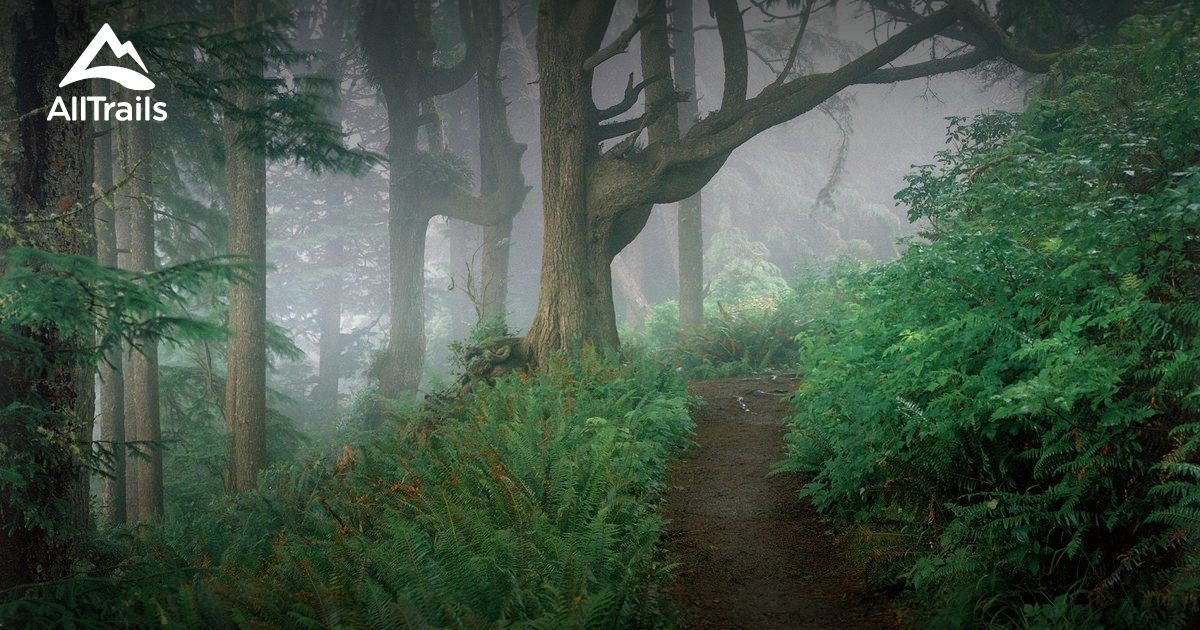 Best Trails in Cape Lookout State Park - Oregon | 358 Photos & 304 ...