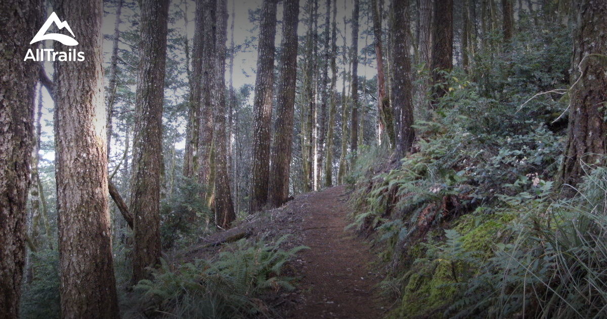 Best Trails in Humbug Mountain State Park - Oregon | AllTrails