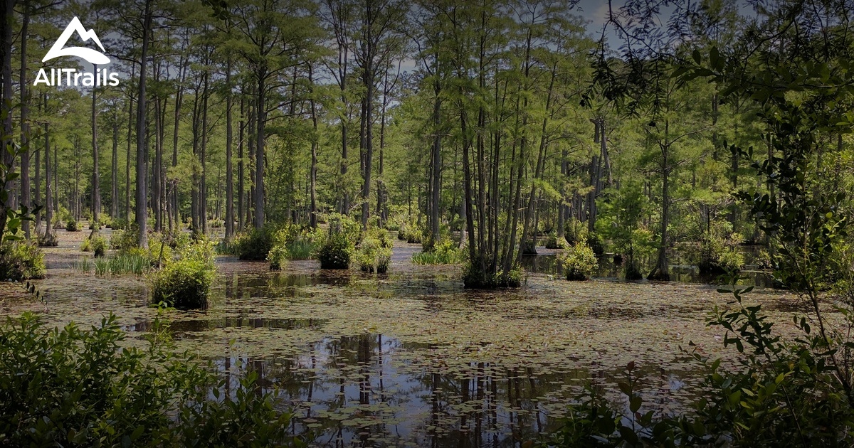 Best hikes and trails in Cheraw State Park | AllTrails