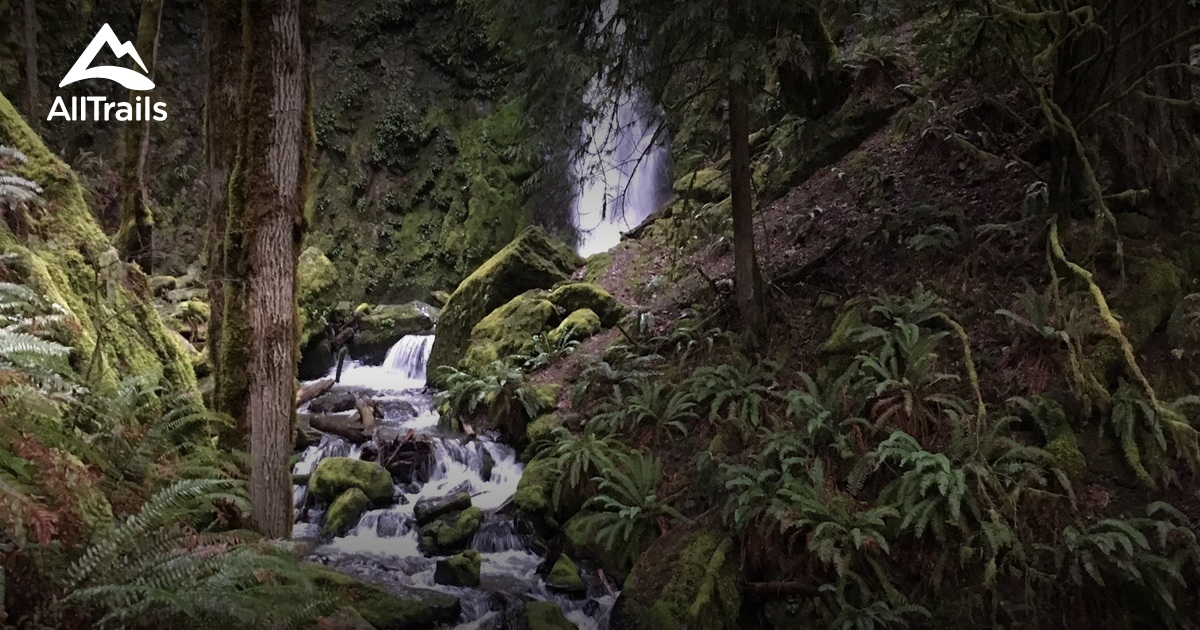 Best Trails in Cascadia State Park - Oregon | AllTrails