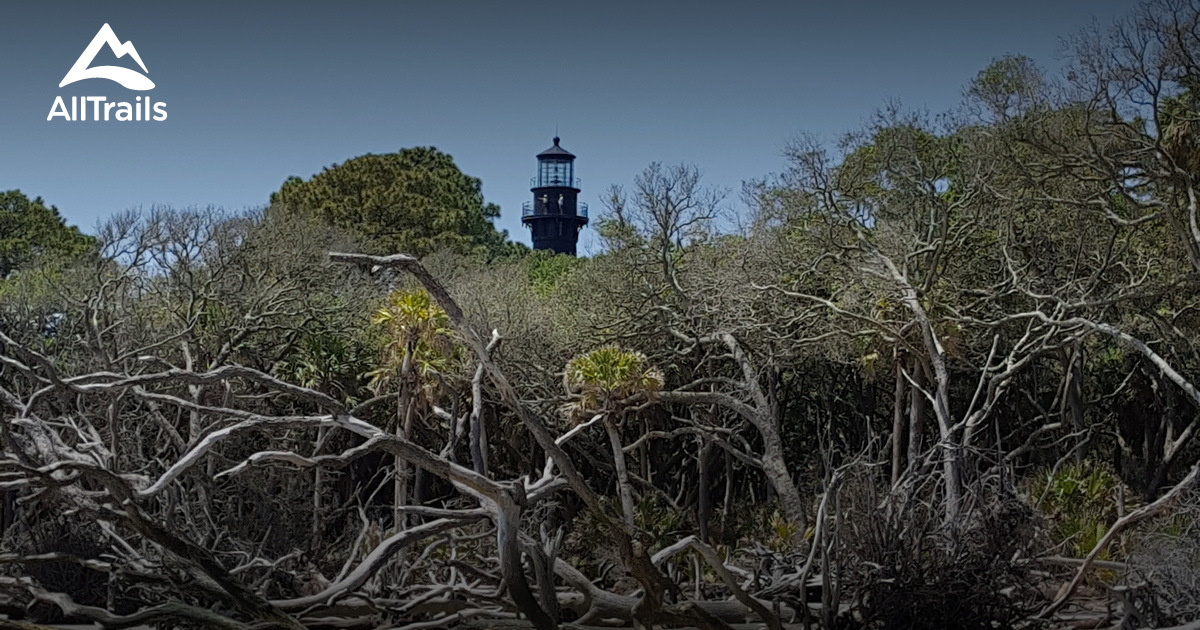 Best Trails in Hunting Island State Park - South Carolina | AllTrails