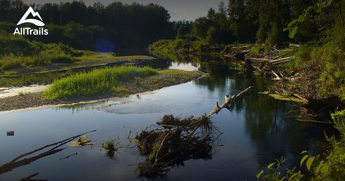 Best hikes and trails in Molalla River State Park | AllTrails
