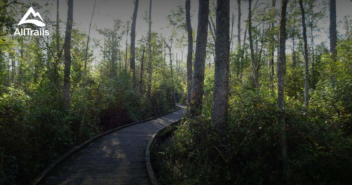 Best hikes and trails in Lee State Park | AllTrails