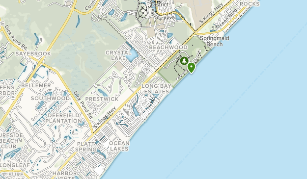 Best Trails in Myrtle Beach State Park - South Carolina | AllTrails