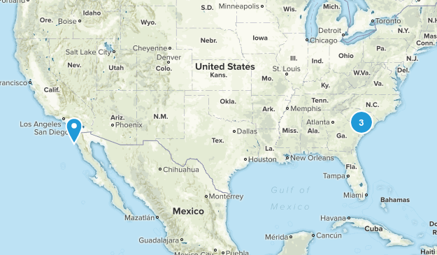 Best Trails in Santee State Park - South Carolina | AllTrails