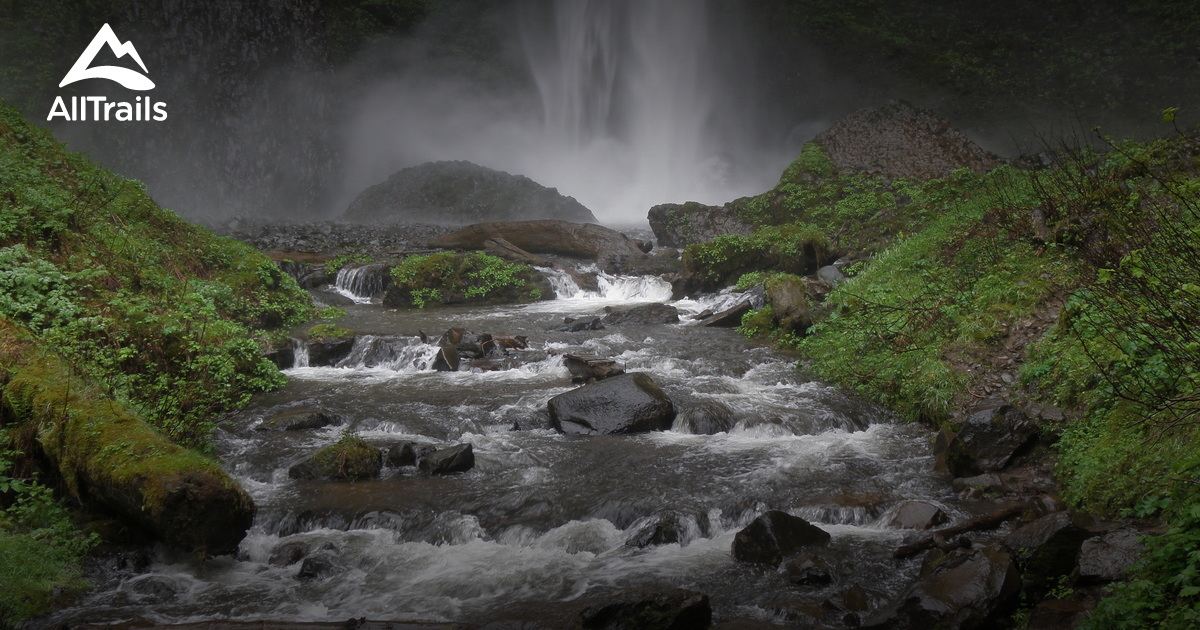 Best Trails in Guy W. Talbot State Park | AllTrails.com