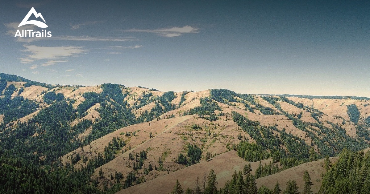 Best Trails in Emigrant Springs State Heritage Area - Oregon | AllTrails