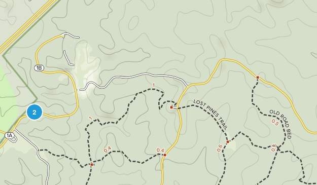 Best Trails in Bastrop State Park - Texas | AllTrails