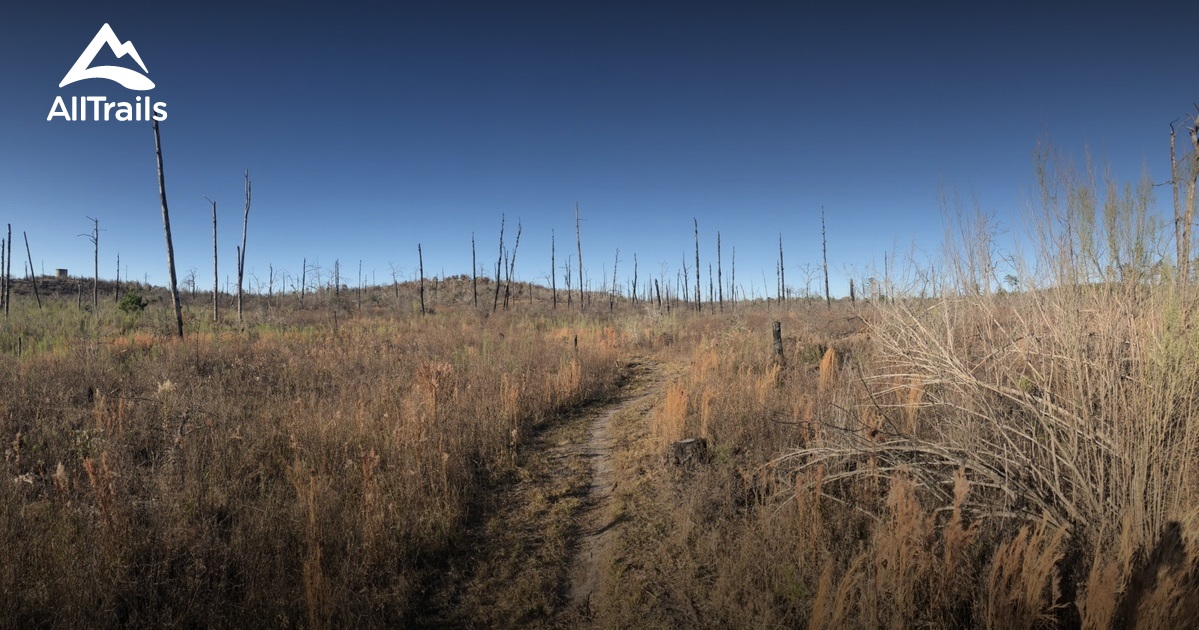 Best Trails in Bastrop State Park - Texas | AllTrails