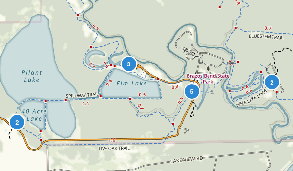 Best Trails in Brazos Bend State Park | AllTrails.com