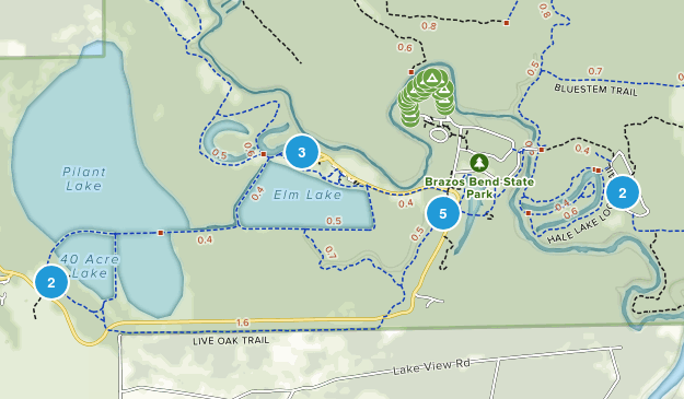 Best Trails in Brazos Bend State Park - Texas | AllTrails