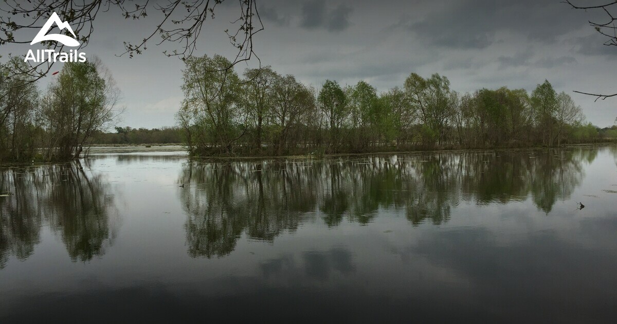 10 Best hikes and trails in Brazos Bend State Park | AllTrails