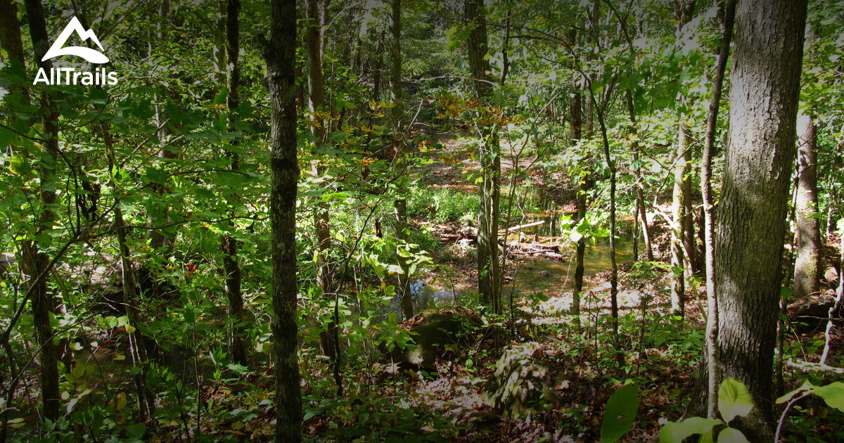 Best Trails in Standing Stone State Park - Tennessee | AllTrails
