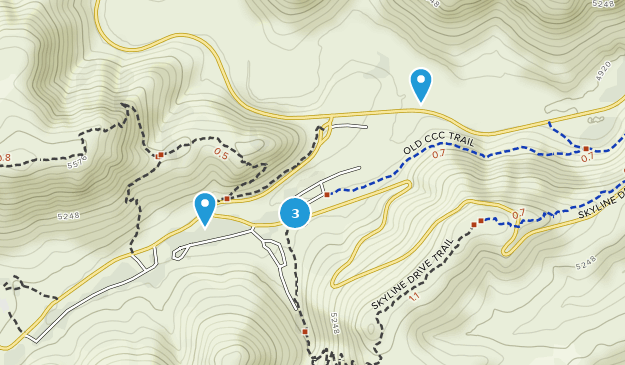 Best Trails in Davis Mountains State Park - Texas | AllTrails