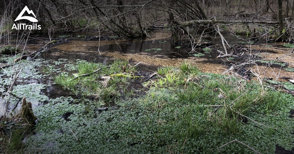 Best Trails in Red Clay State Park - Tennessee | AllTrails