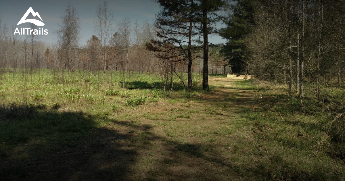 Best Trails in Mission Tejas State Park - Texas | AllTrails