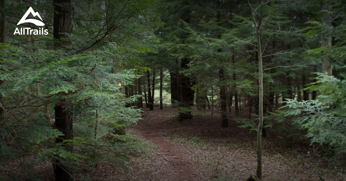 Best Trails in Black Moshannon State Park - Pennsylvania | AllTrails