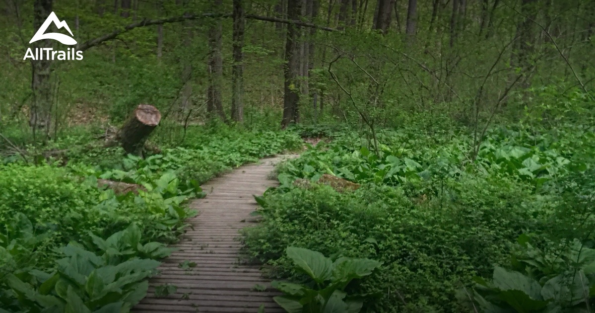 Best Trails in Codorus State Park - Pennsylvania | AllTrails