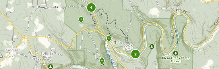 Best Trails in Cook Forest State Park - Pennsylvania | AllTrails