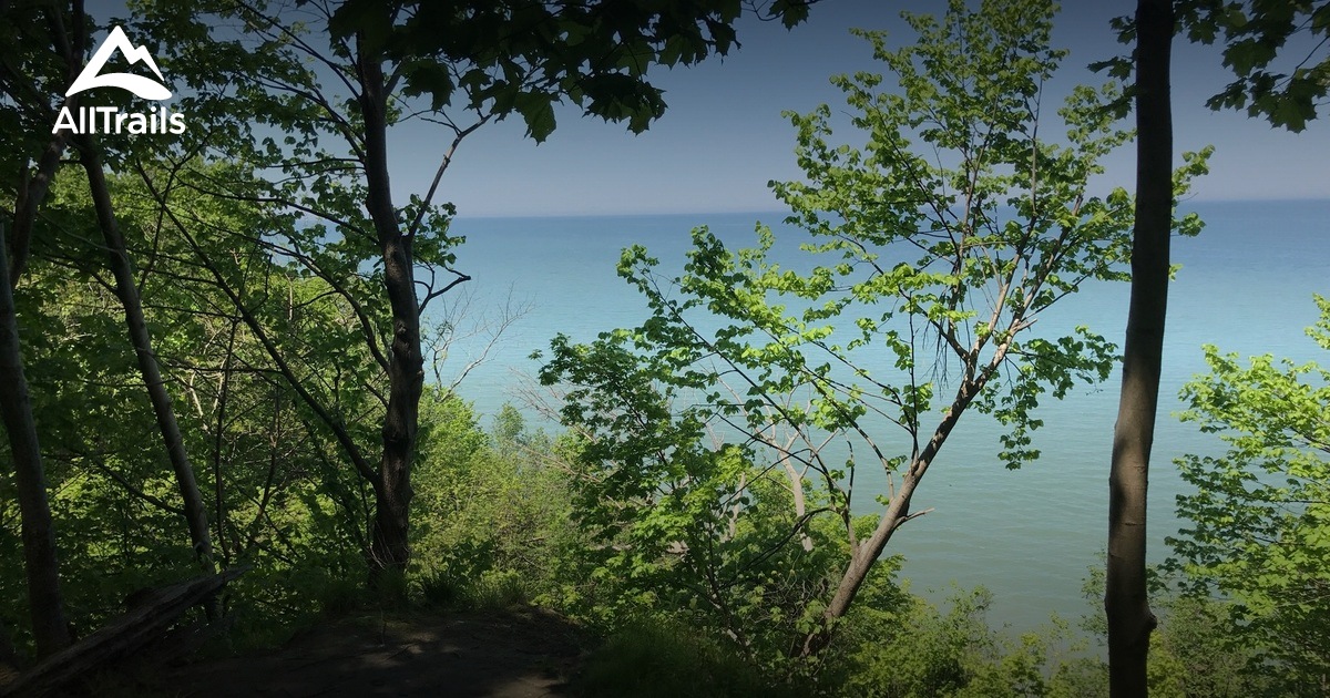 I migliori sentieri al lago in Erie Bluffs State Park | AllTrails
