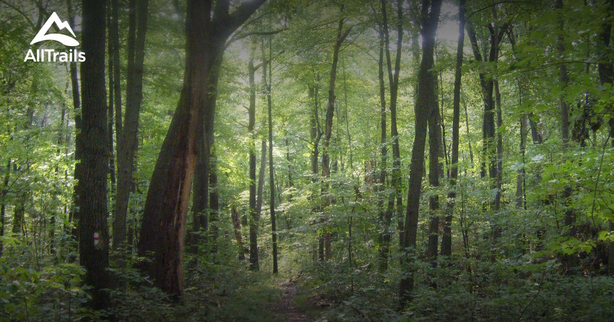 Best Trails in French Creek State Park | AllTrails.com