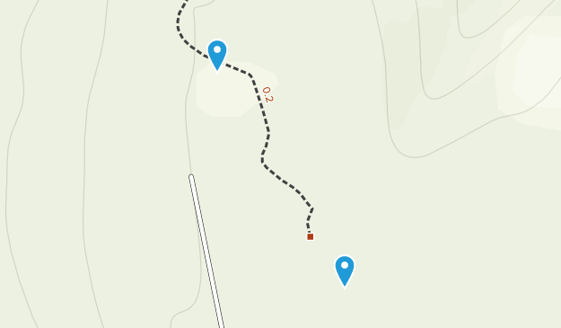 Best Trails in Kinzua Bridge State Park - Pennsylvania | AllTrails