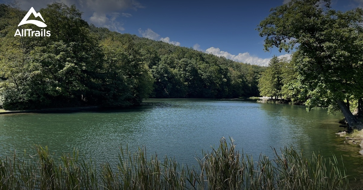 Best forest trails in Kooser State Park | AllTrails