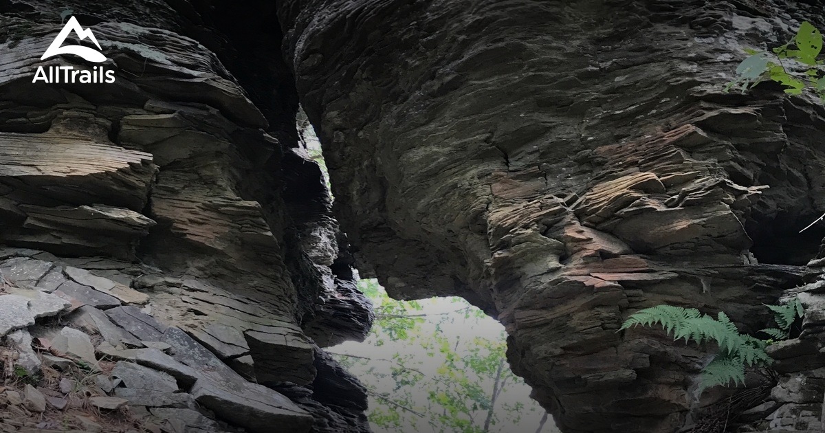 Best trails in Little Pine State Park, Pennsylvania | AllTrails