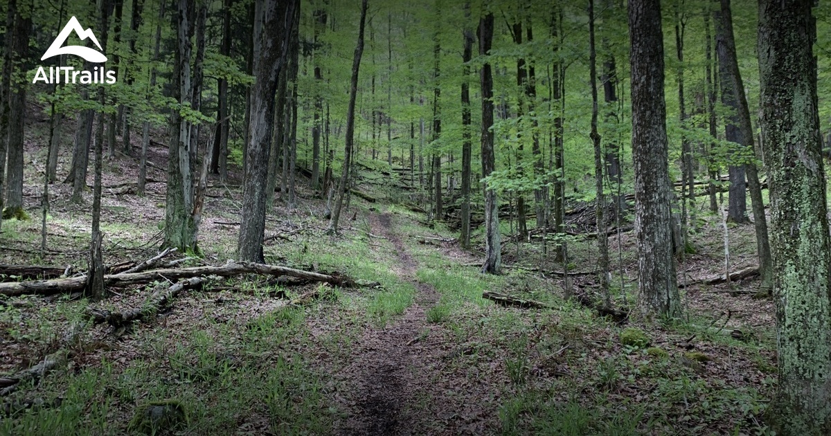 Best hikes and trails in Lyman Run State Park | AllTrails