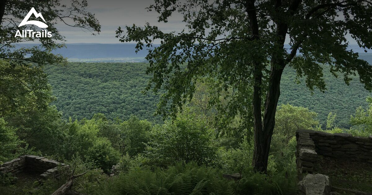 Penn-Roosevelt State Park : les meilleures randonnées itinérantes ...
