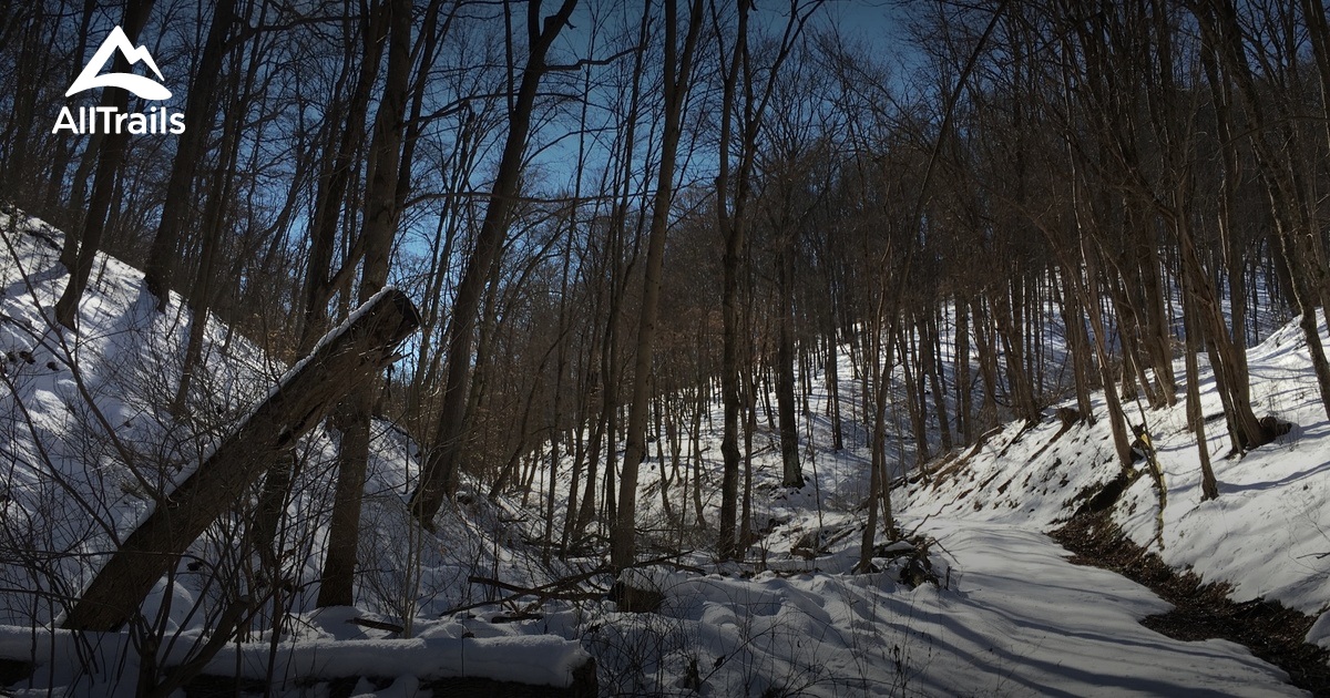 Best hikes and trails in Ryerson Station State Park | AllTrails