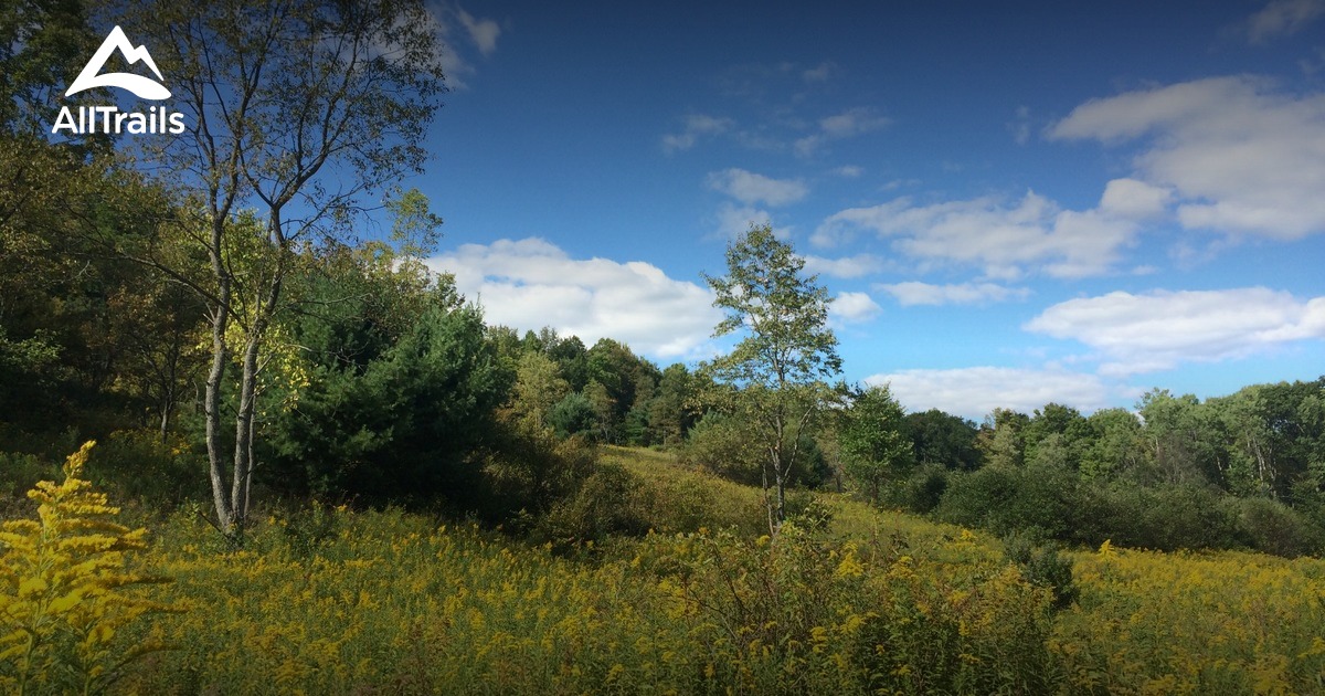 Best Trails in Salt Springs State Park - Pennsylvania | AllTrails