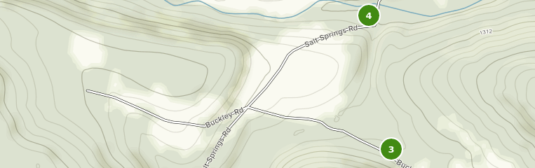 Best Trails in Salt Springs State Park - Pennsylvania | AllTrails