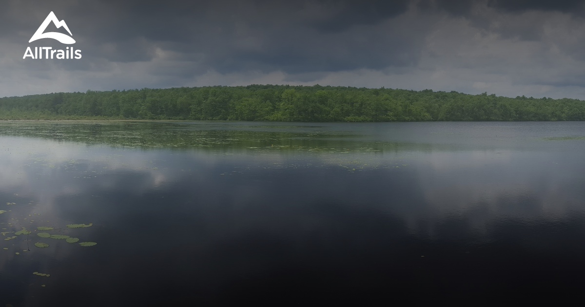 Best Trails in Tobyhanna State Park - Pennsylvania | AllTrails