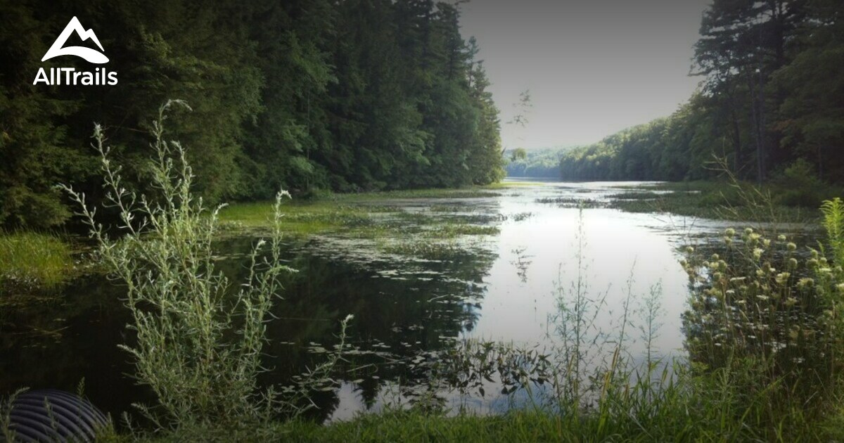 Los mejores senderos para observar aves en Bomoseen State Park | AllTrails