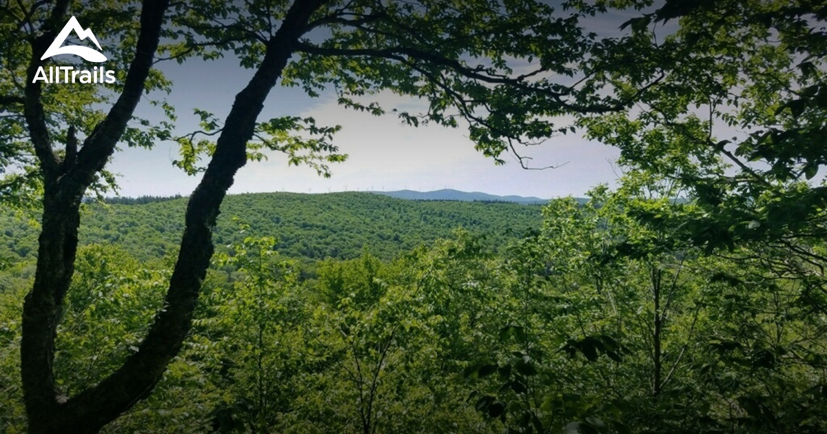 Best dogs on lead trails in Woodford State Park | AllTrails