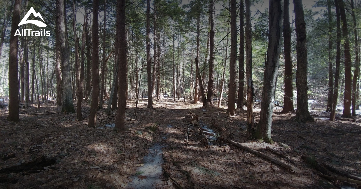 Best trails in Fort Dummer State Park, Vermont | AllTrails