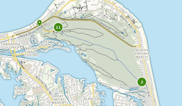 Best Trails in First Landing State Park - Virginia | AllTrails