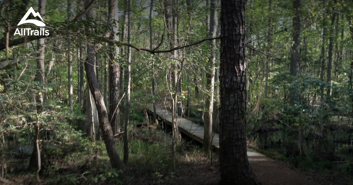 10 Best hikes and trails in First Landing State Park | AllTrails