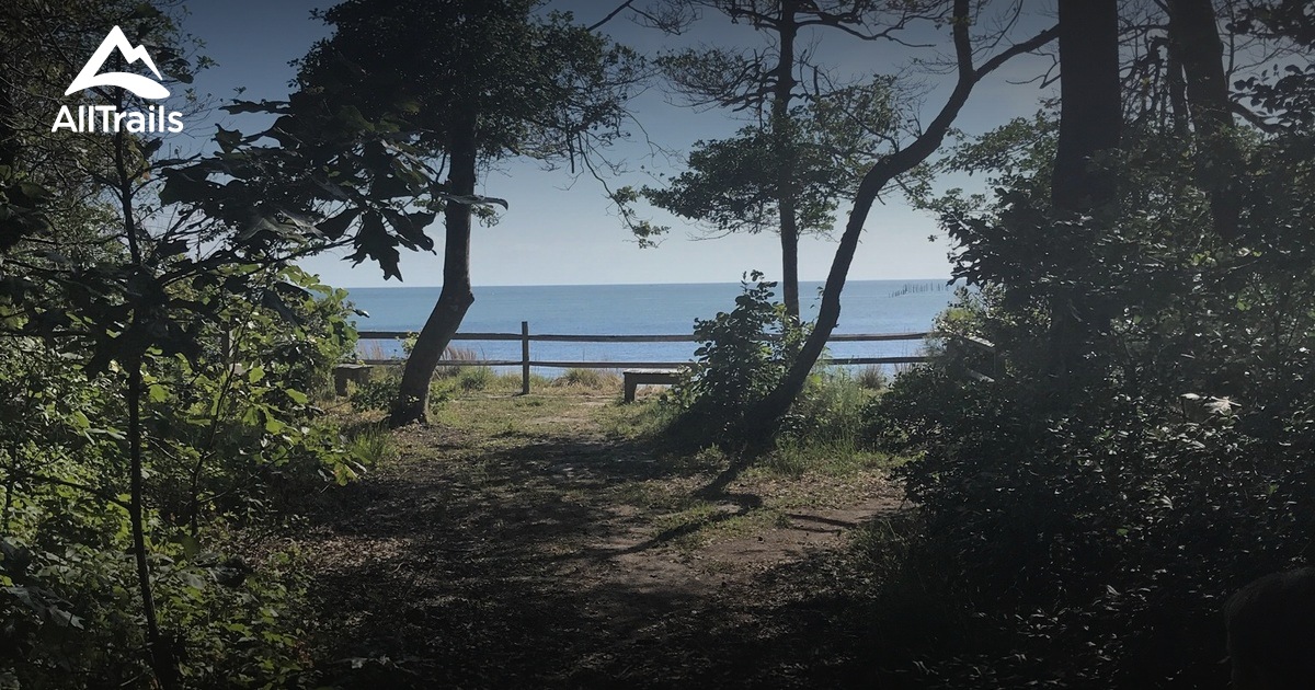 De beste turstiene i Kiptopeke State Park | AllTrails