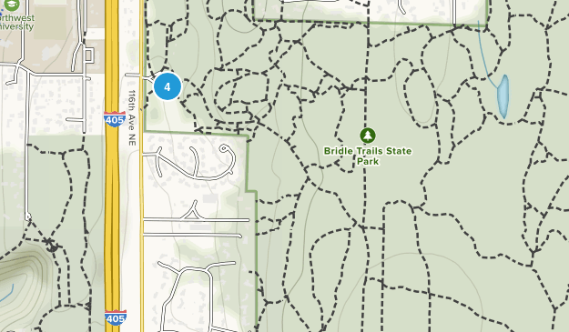 Best Trails in Bridle Trails State Park - Washington | AllTrails