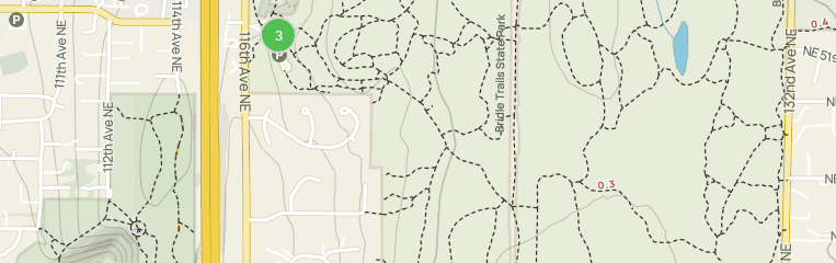 Best Hikes and Trails in Bridle Trails State Park | AllTrails