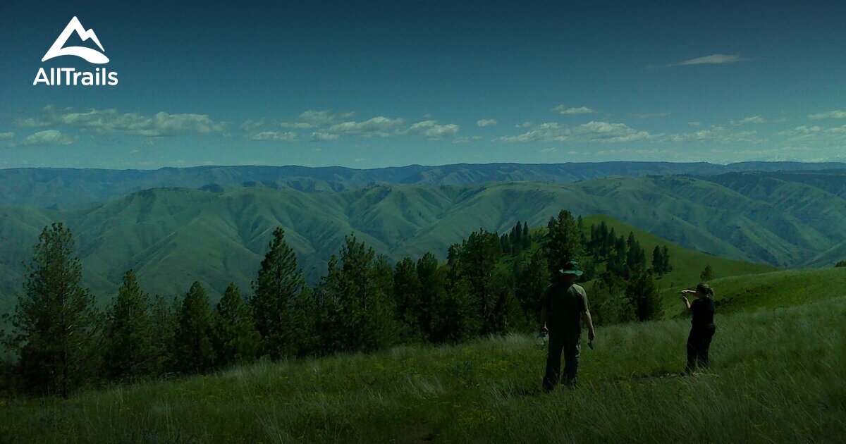 Best hikes and trails in Fields Spring State Park | AllTrails