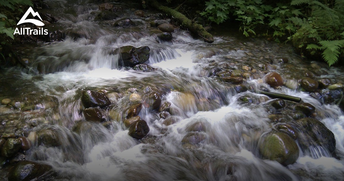 Best Trails in Flaming Geyser State Park | AllTrails.com