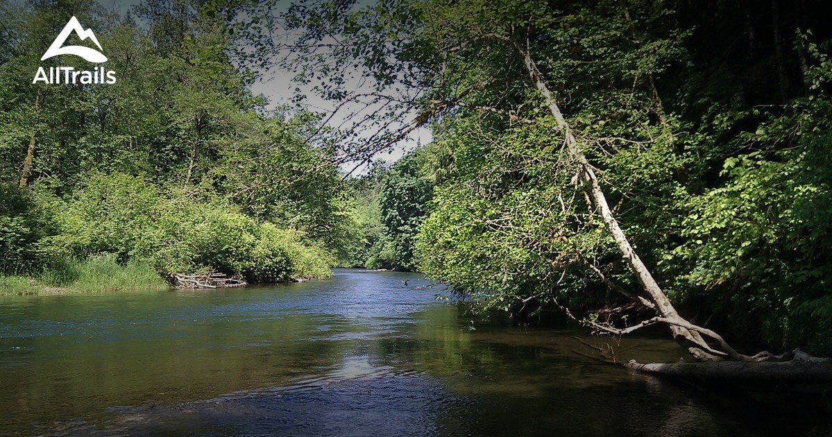 Best Trails in Flaming Geyser State Park - Washington | AllTrails