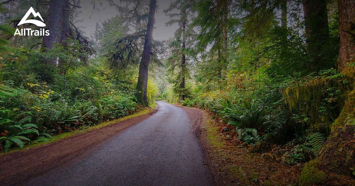 Best hikes and trails in Leadbetter Point State Park | AllTrails