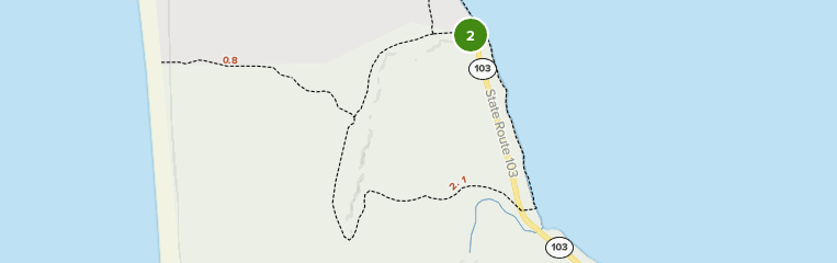 Best 10 Trails in Leadbetter Point State Park | AllTrails