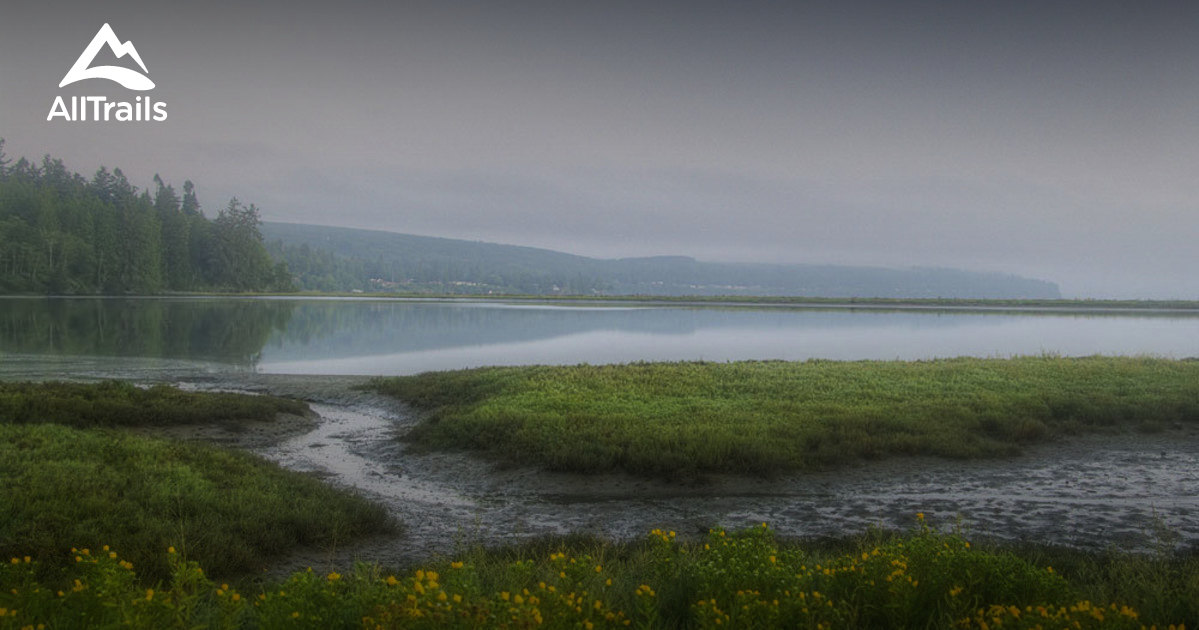 Best Trails in Shine Tidelands State Park - Washington | AllTrails