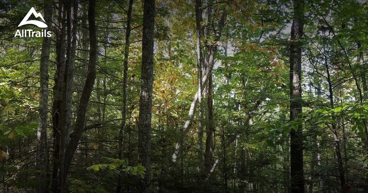 Best Trails in Camp Creek State Park - West Virginia | AllTrails